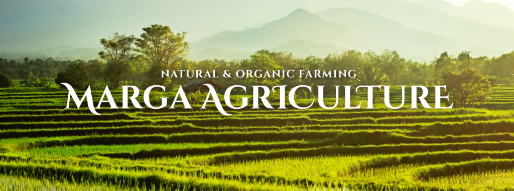 Marga Agriculture - Margaraja